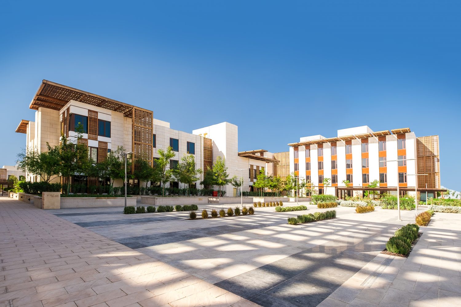 Arab Center For Research and Policy Studies Public Realm Design - B+H ...